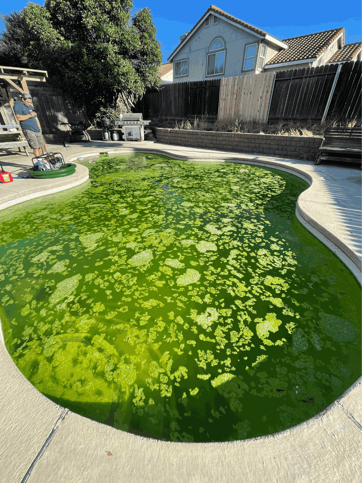 Pool Drains - Ripple Pool Service & Repair